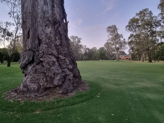 Corowa Golf Club- a review