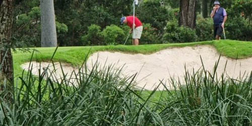 Hunter Valley And Port Stephens Golf Courses And Tours